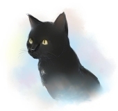 Aiden Guo - pixiv Sketch